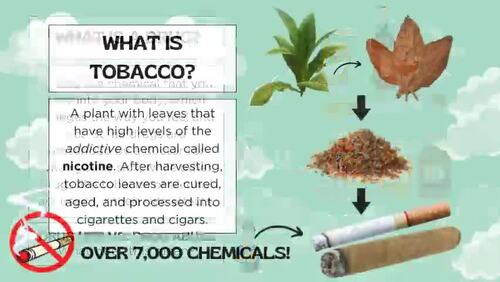 Substance Abuse: Tobacco & Alcohol by Mr. Brown's Health Class | TPT