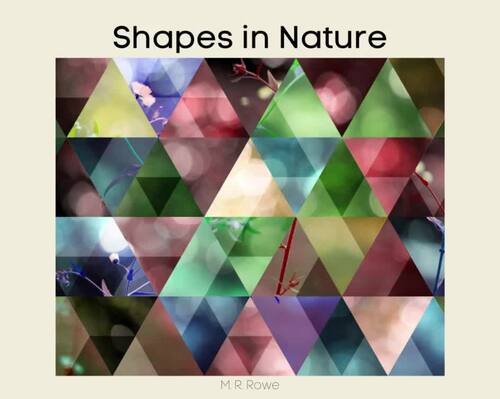 Shapes in Nature *REAL PICTURES* Flashcards / Playdough OR Loose parts mats