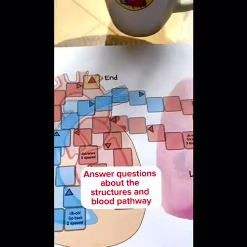 HEART BOARD GAME-Structures and Pathway of Blood Review Activity