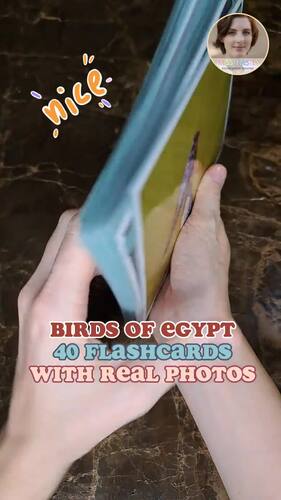 Birds of Egypt/Printable Flashcards with Real Photos by Miss Nastia