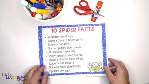 Building Sentences Spider Facts for Kids by Little Learning Corner