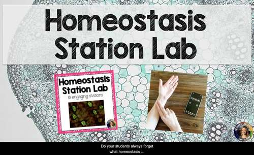 Homeostasis Science Station Lab for High School Biology | TPT