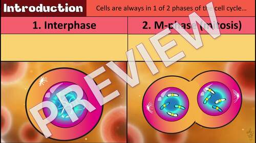 The Cell Cycle and Cancer PowerPoint Slideshow + Guided Notes + Study Guide