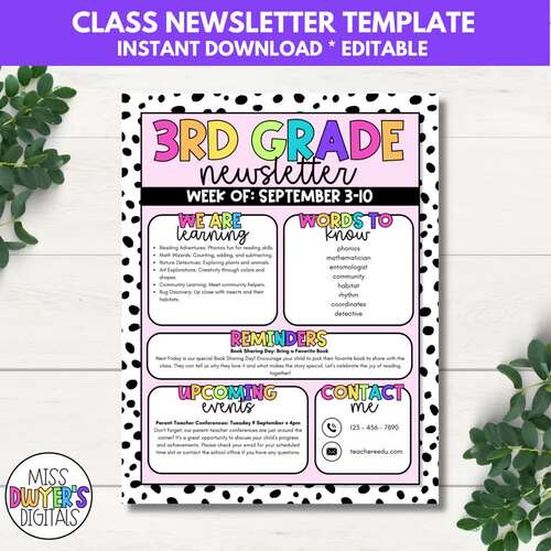 Rainbow Bright Editable Classroom Newsletter Template by Miss Dwyer's ...