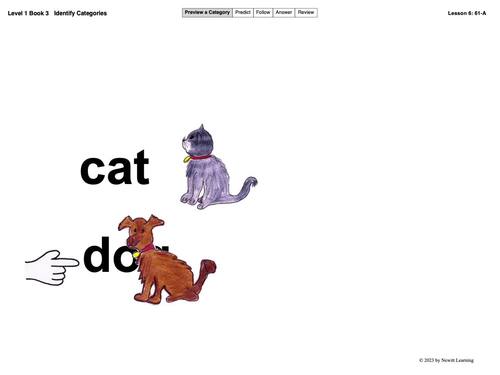 Newitt Book 3 PowerPoint: Identify Categories, Lesson 6 (Prereading Series)
