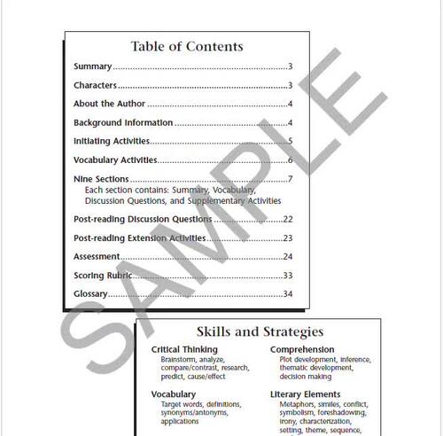 Cold Mountain Novel Units® Teacher Guide Novel Study | TPT