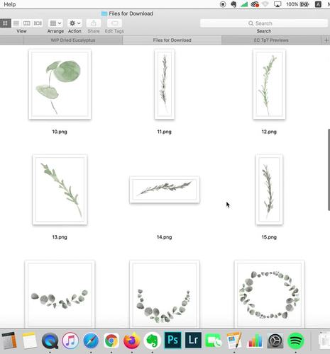 Eucalyptus Wreath Floral Border Clipart for Classroom Decor Posters ...
