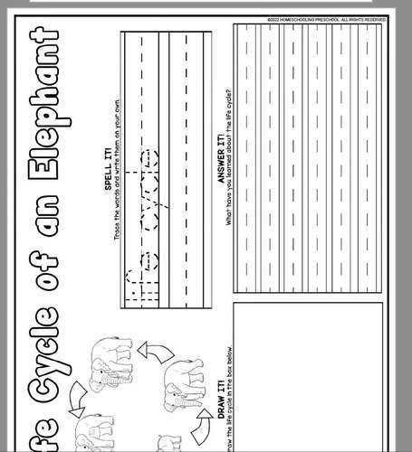 Elephant Life Cycle Activity Sheets by HomeschoolingPreschool | TPT