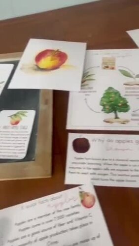 Apple Mini Unit – Digital Download Fall Themed Nature Activity Pack ...