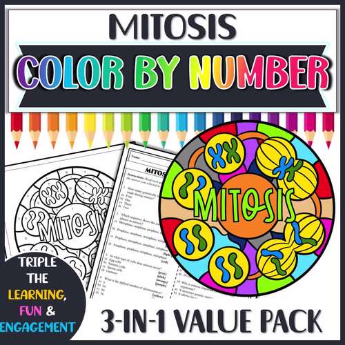 Mitosis Color by Number | Biology Review Worksheets Activity | Cell ...
