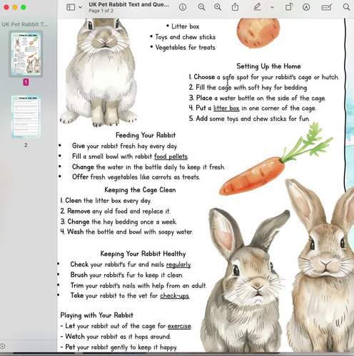 Caring for a Pet Rabbit || Guided Reading Instruction Text & Questions ...