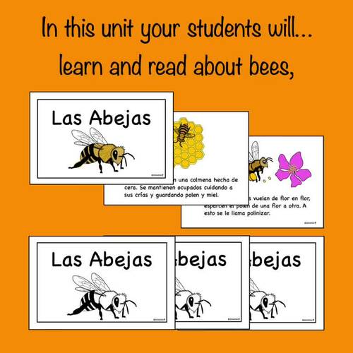 Las Abejas - Spanish - Spring Nonfiction Writing Unit by Robin Shelton