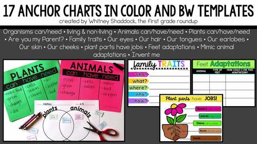 Plant and Animal Adaptations First Grade Science Unit on Organisms