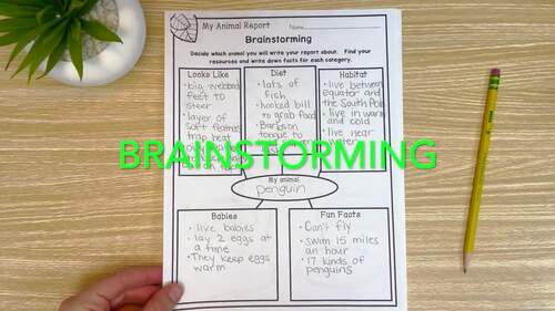 Animal Research Report Project for First Grade or Second Grade | TPT