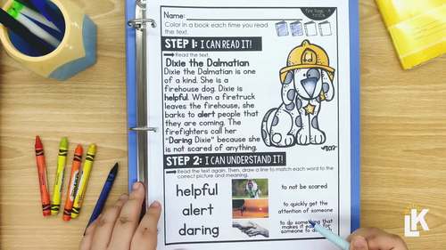 Differentiated Reading Passages by Lyndsey Kuster | TPT