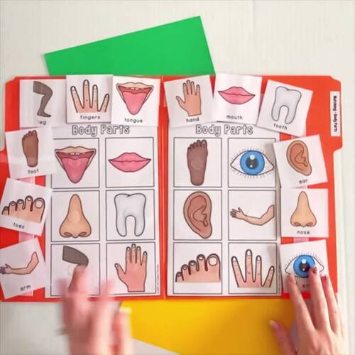 Matching - Body Parts (Velcro File Folder Practice Activity) | TPT