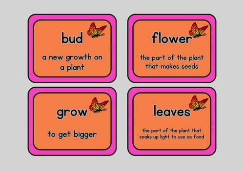 Grade Plant Science Vocabulary Flash Cards by professional designer