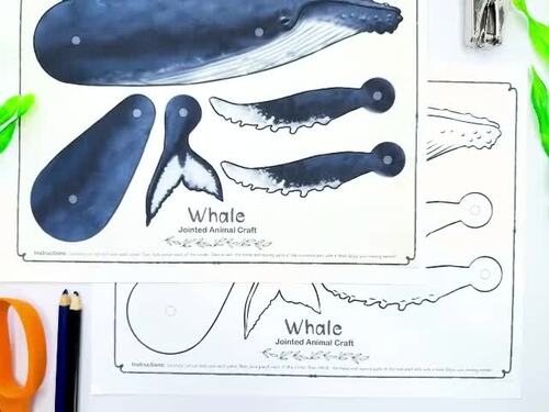 Whale | Jointed Animal Craft | Articulated Craft | Whales by Simply ...