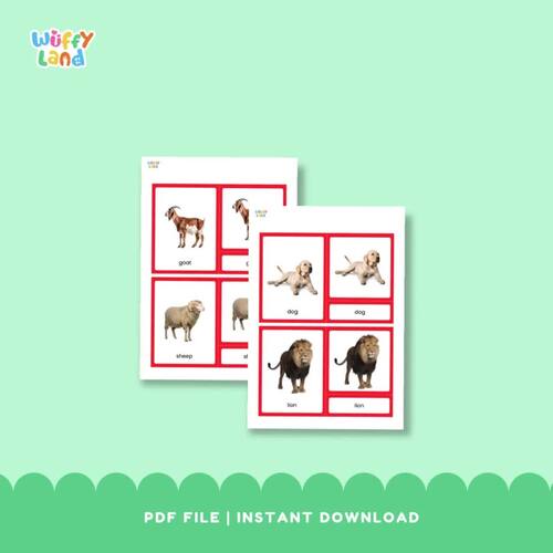Types of Mammals MONTESSORI 3 part cards REAL IMAGE by Wuffyland