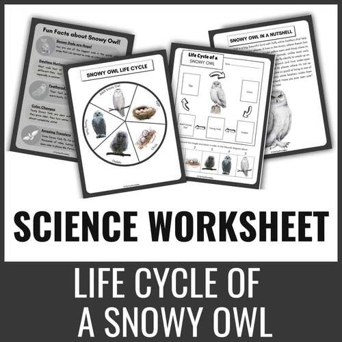 Life Cycle of a Snowy Owl Worksheet- Winter Animal Science Unit Study