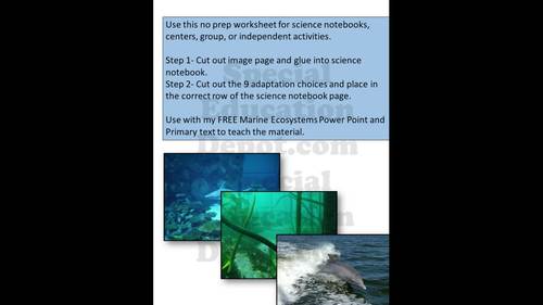 Marine Ecosystems Science Notebook Page for 3rd through 5th grades and VAAP