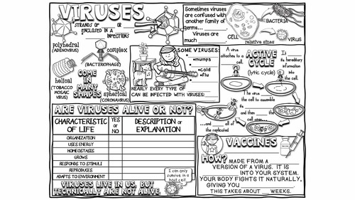 Viruses Doodle Notes & Quiz | Lytic Cycle, Vaccines, Structure ...