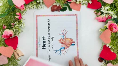 Anatomy Heart Grade 2 Nonfiction Read Bundle RI.2.1 RI.2.2 RI.2.5 ...