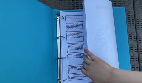 The Lungs Structure Foldable for Coloring and Labeling, with answer key