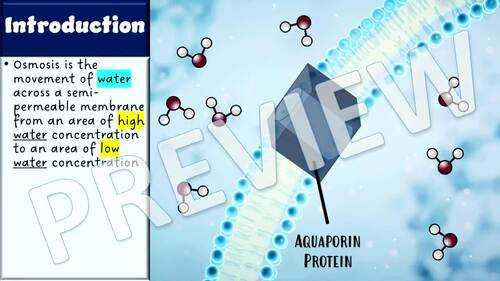 Osmosis Complete Lesson Bundle by Science With Grapes | TPT