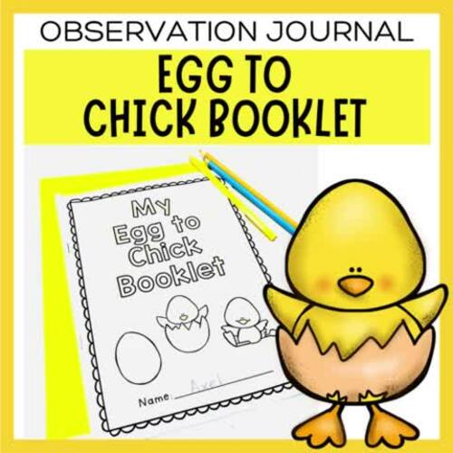 Egg to Chick Booklet Chick Hatching Observation Journal by Little ...