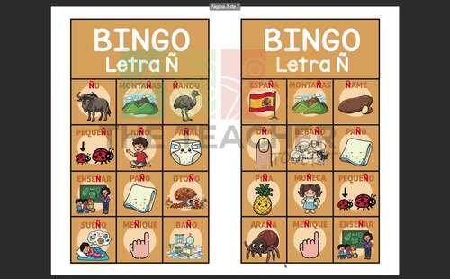 Bingo de la Letra Ñ - Español by THE TEACHER TOOLKIT CR | TPT