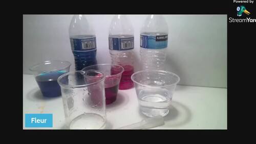 Salinity and Density Lab - Ocean Currents Lab by Aloha Monday Teaching