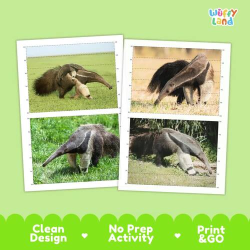 Anteater Activity Real Photo Cut and Paste Puzzles Scissor Skills Worksheet