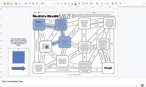 Genetics Review Maze Worksheet Activity Fun Printable and Digital ...