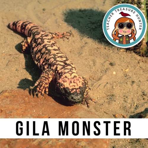 Gila Monster information page for desert animal research report | TPT