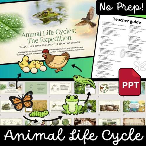 Animal Life Cycle Escape Room | Life Cycles of Animals Science Game K–3