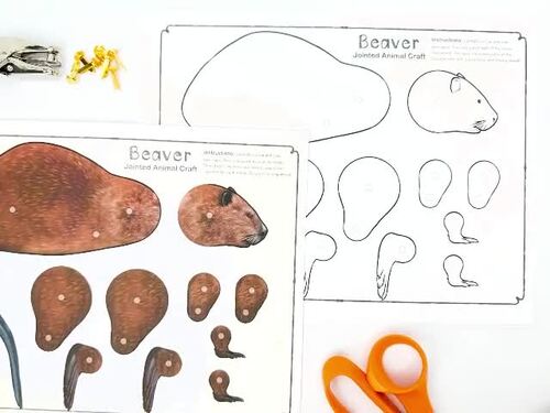 Beaver | Jointed Animal Craft | Articulated Craft | Beavers | TPT