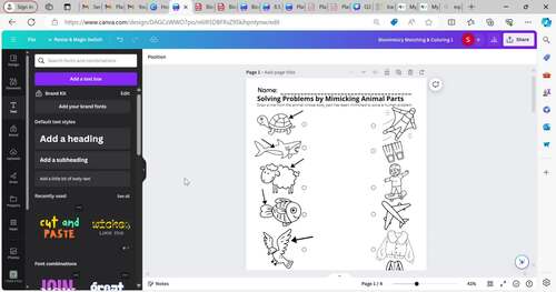 Biomimicry Matching & Coloring Grade 1 (First) by Shauntaye Jan-Cel