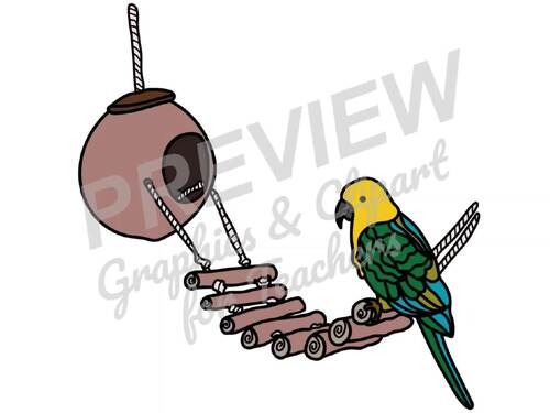 Pet Shop Animals Clip Art Set for All Activities {Clipart for Teachers}