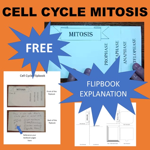 Cell Cycle Mitosis Flipbook VIDEO by KeepItSimpleStudents | TPT