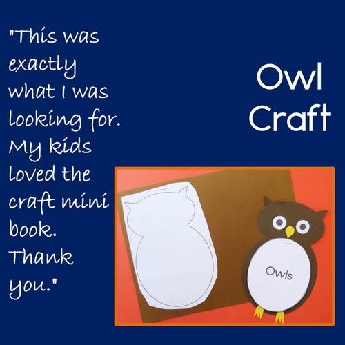 Owls Science Craft Book Non Fiction Text & Bulletin Board Display 1st ...