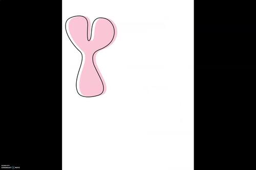 Pastel Party Birthday Display by Julia's Colorful Classroom | TPT