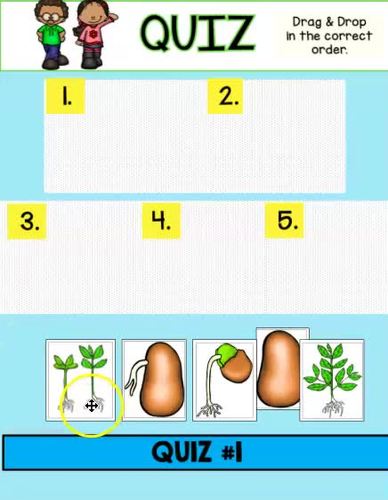 Google Slides PLANT LIFE CYCLE Interactive Science Activities | TpT