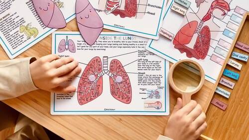 Respiratory System Bundle Human Anatomy Activities Human Body Systems ...