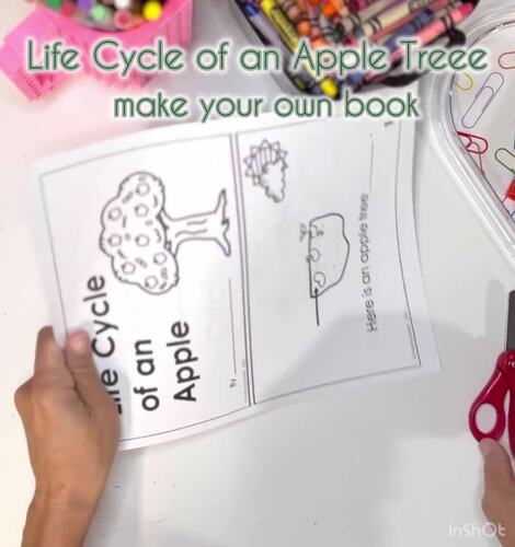 Apple Tree Life Cycle Book | Early Reader | Guided Reading | Science ...