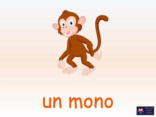 LOS ANIMALES DE LA JUNGLA - POWERPOINT on jungle animals vocabulary in ...
