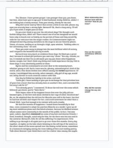 "A Story of Vengeance" Short Story, Comprehension Questions, Essay Prompts