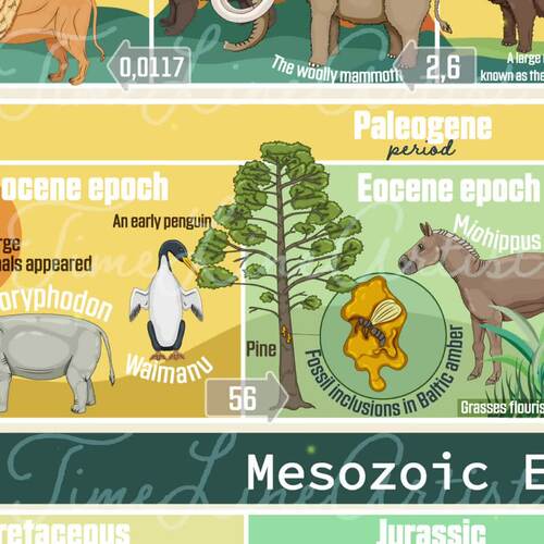 History of The Earth- Evolution of Life Colorful Educational Poster