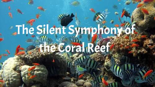 Author's Craft Reading & Video Gr5/6 - The Silent Symphony of the Coral ...