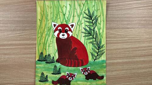 Small Mammals Draw & Learn Lesson Red Panda | Animal Biology + Video